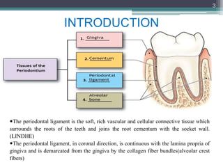 Periodontal ligament.pptx by Dr. Ira Gupta | PPTX