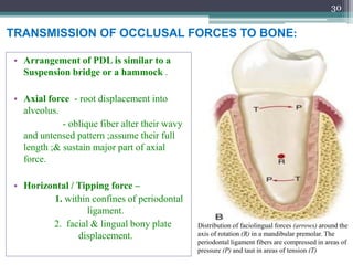 Periodontal ligament.pptx by Dr. Ira Gupta | PPT