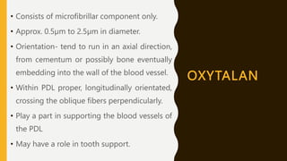 Periodontal ligament.pptx