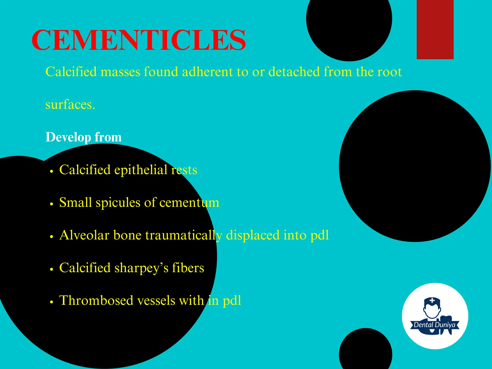periodontal ligament.pdf