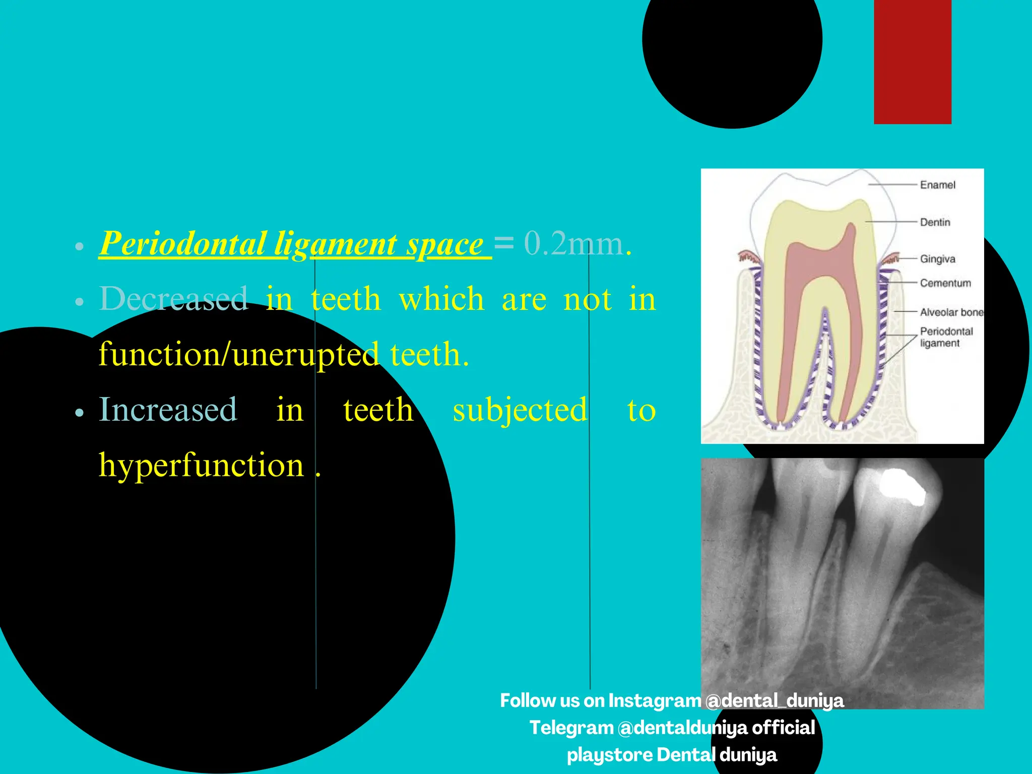 periodontal ligament.pdf | Free Download