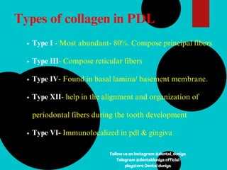 periodontal ligament.pdf