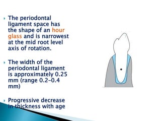 PERIODONTAL LIGAMENT-Dr.Mary Joseph.pptx
