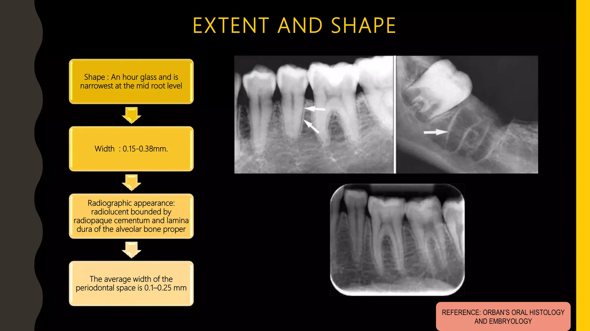 Periodontal ligament - Part 1 | PPTX
