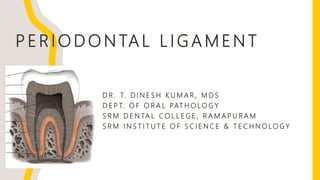 Periodontal ligament - Part 1 | PPTX