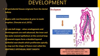 Periodontal ligament - Part 1 | PPTX