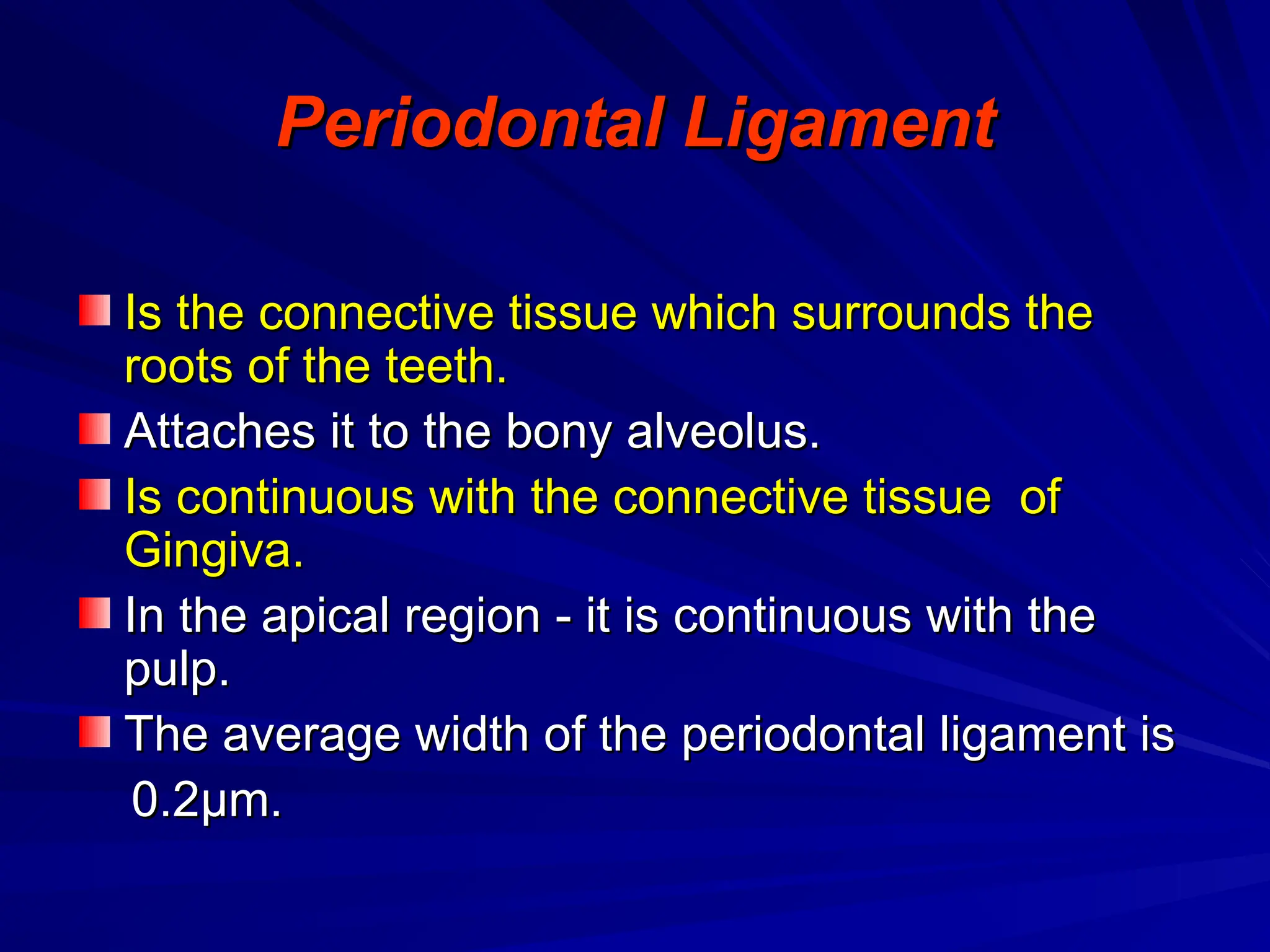 Periodontal Ligament & Development presentation | PPT