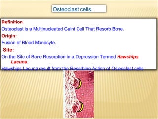 Periodontal ligament dr. sherif hassan | PPT
