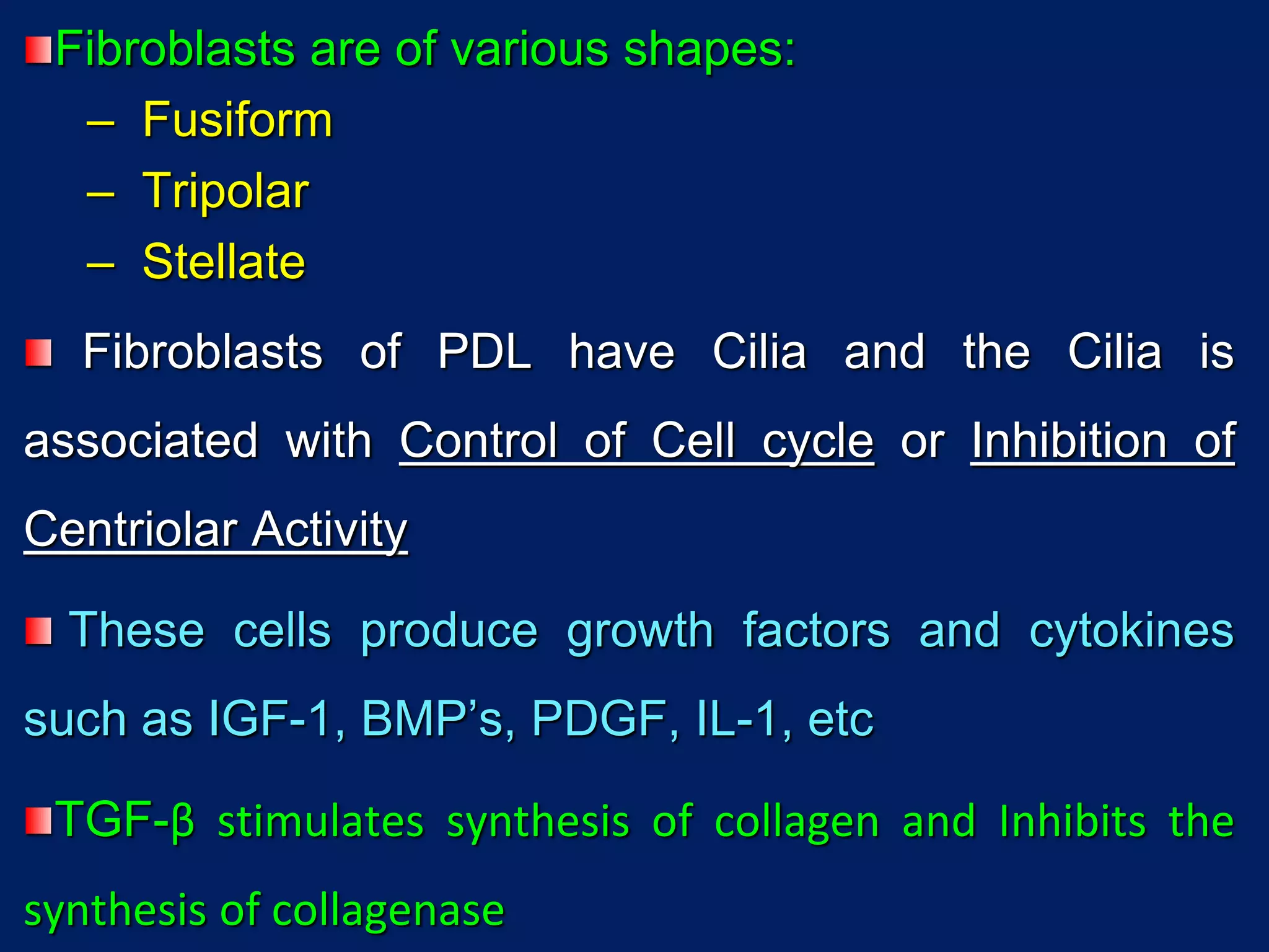 Periodontal Ligament.ppt