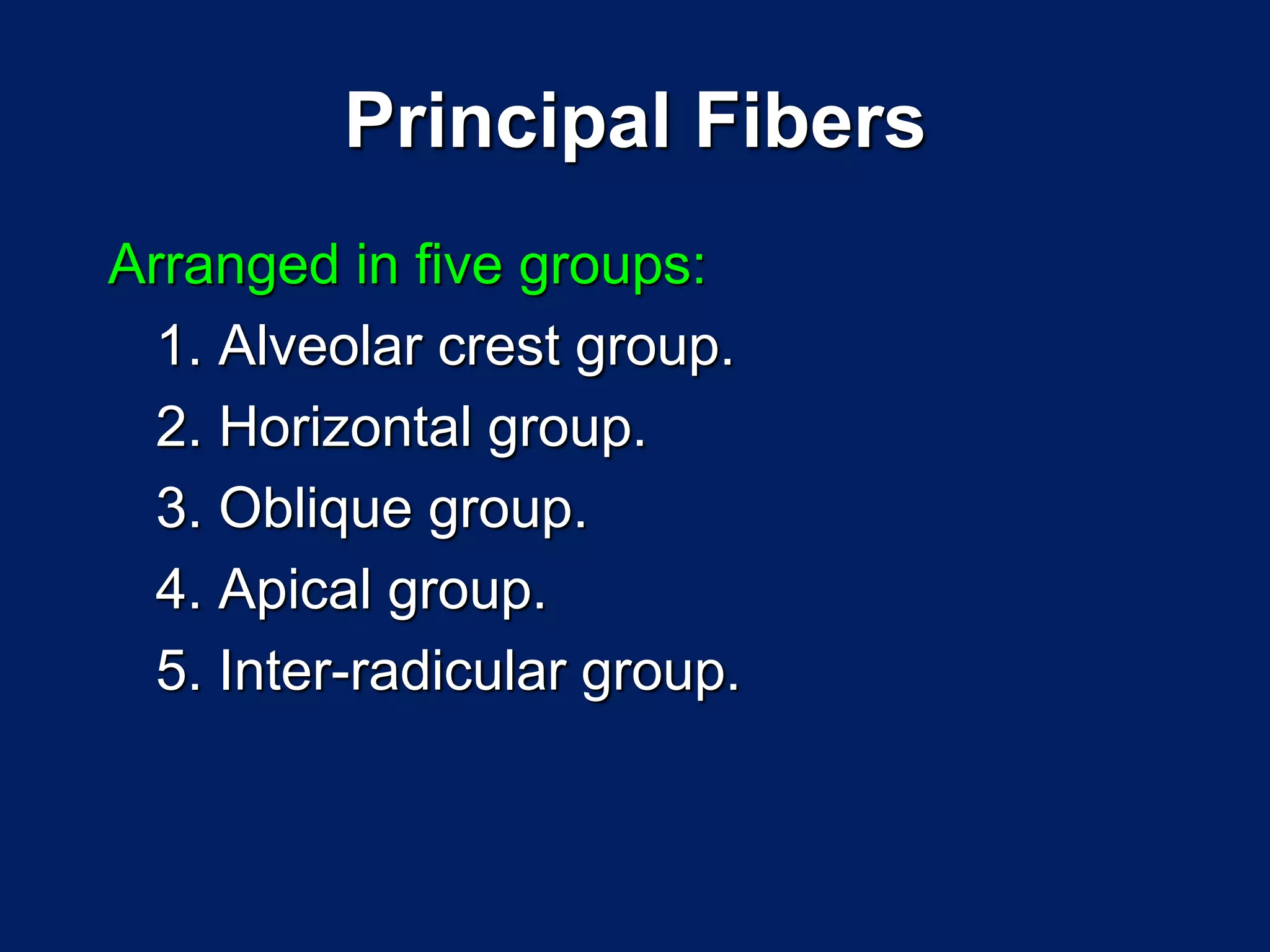 Periodontal Ligament.ppt