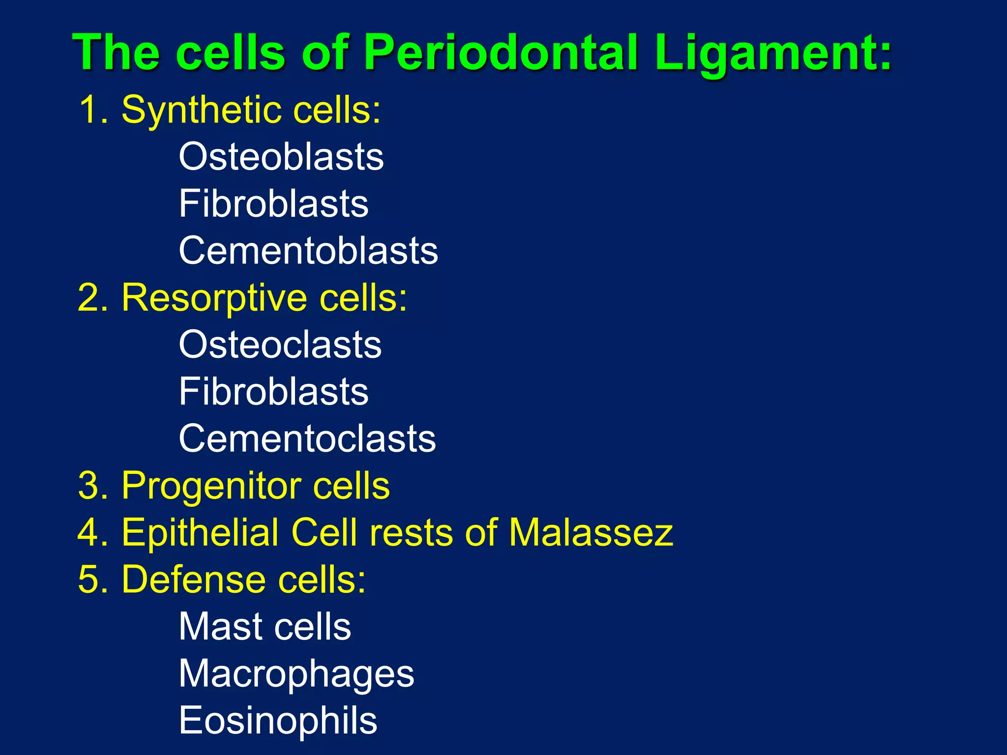 Periodontal Ligament.ppt