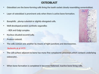 Histo physiology and function of Perioodntal ligament | PPTX
