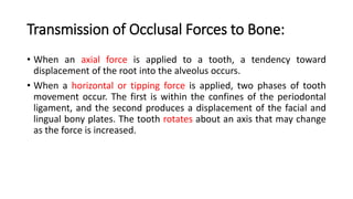 periodontal ligament lecture. .pdf