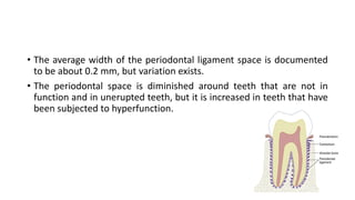 periodontal ligament lecture. .pdf