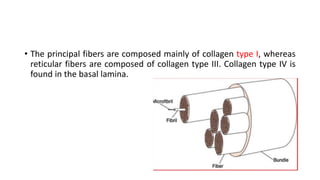 periodontal ligament lecture. .pdf