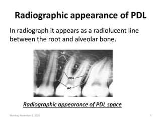 Periodontal ligament | PPTX