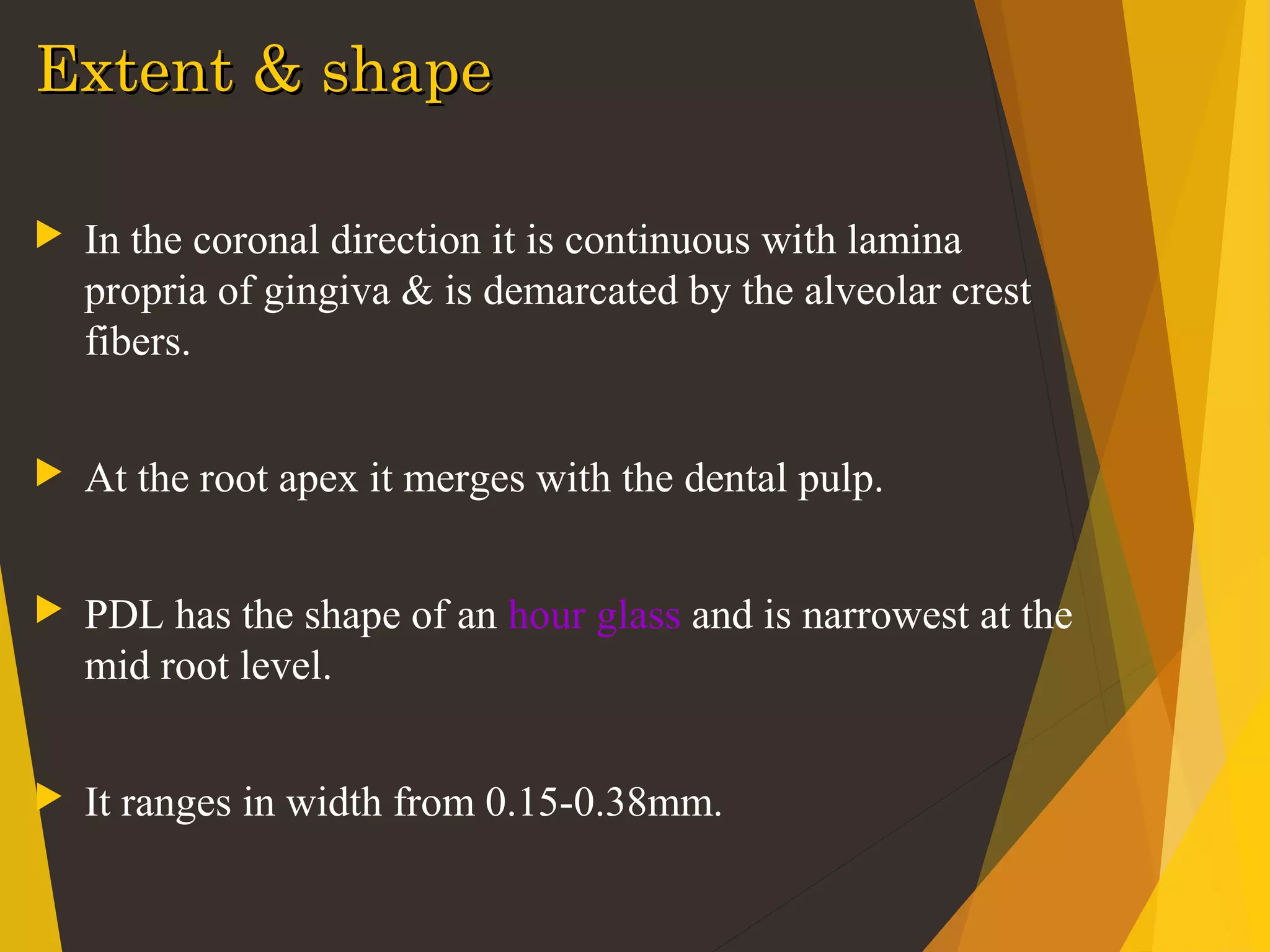 Periodontal ligaments | PPT