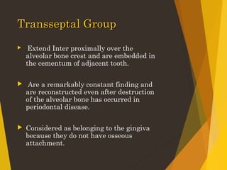Periodontal ligaments | PPT