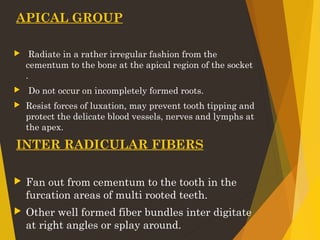 Periodontal ligaments | PPT