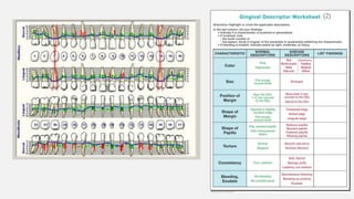 Periodontal maintenance | PPTX