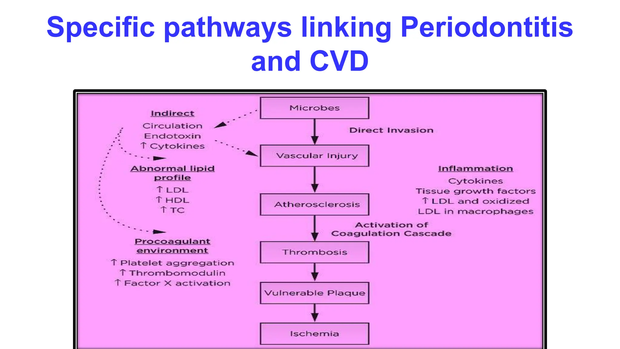 Periodontal medicine the updated version.pptx