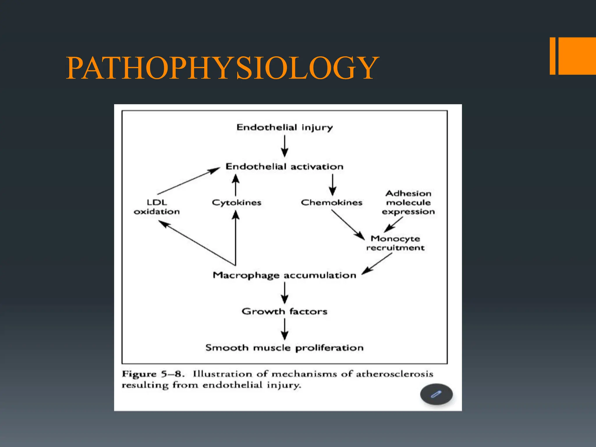 PERIODONTAL MEDICINE (Janani.J).pptx