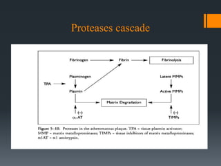 PERIODONTAL MEDICINE (Janani.J).pptx