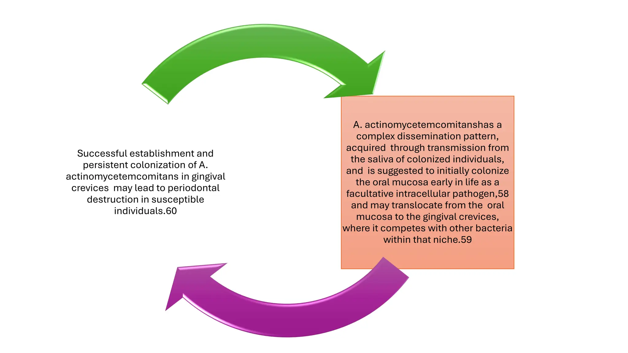 Periodontal microbiology and microbial etiology.pdf