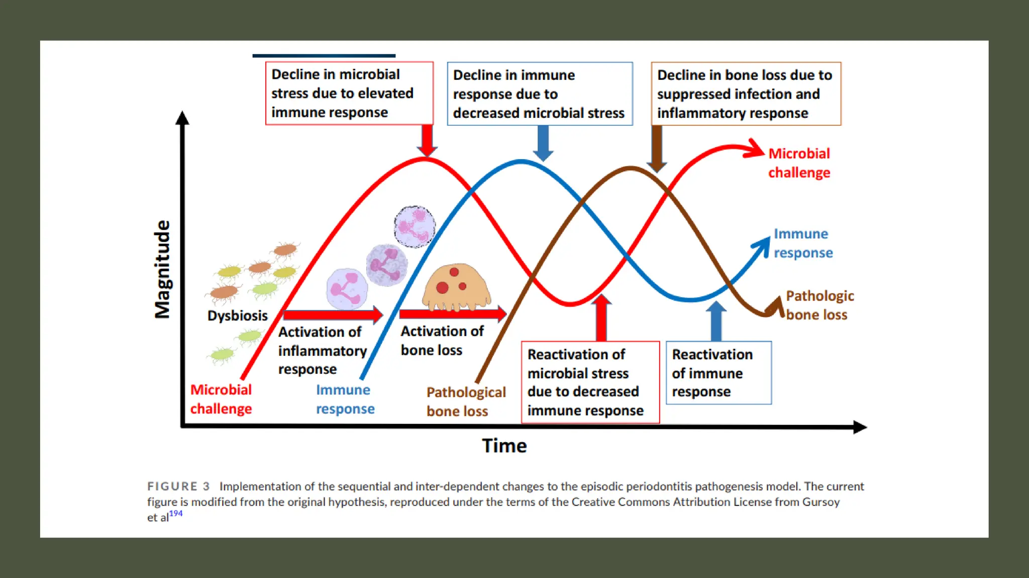 Periodontal microbiology and microbial etiology.pdf