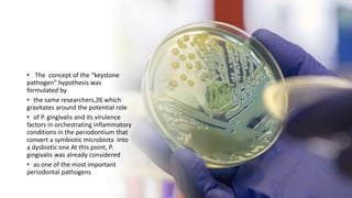 Periodontal microbiology and microbial etiology.pptx