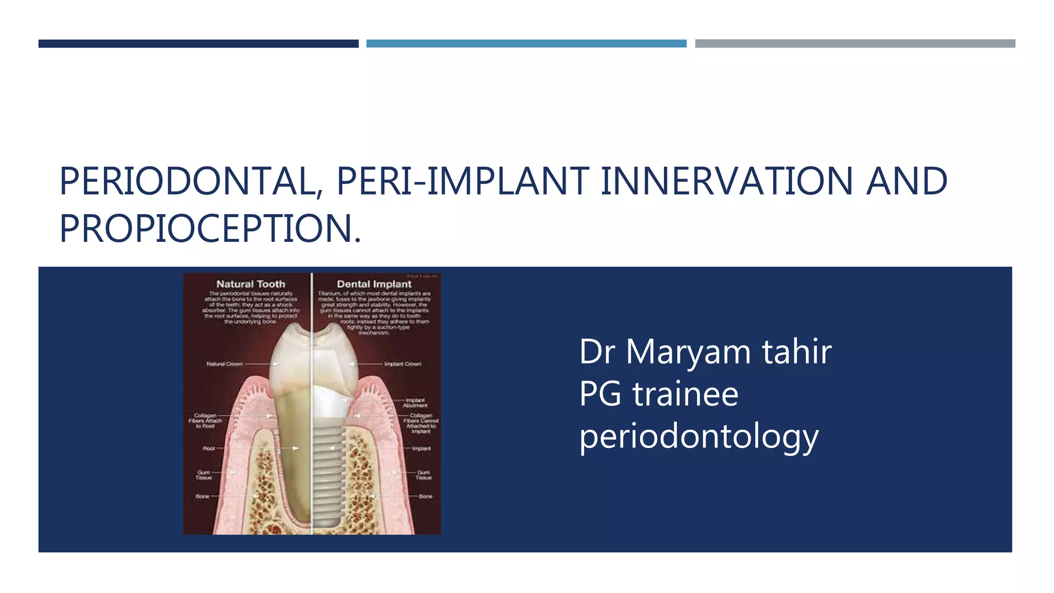 Periodontal, peri implant innervation and propioception | PPTX