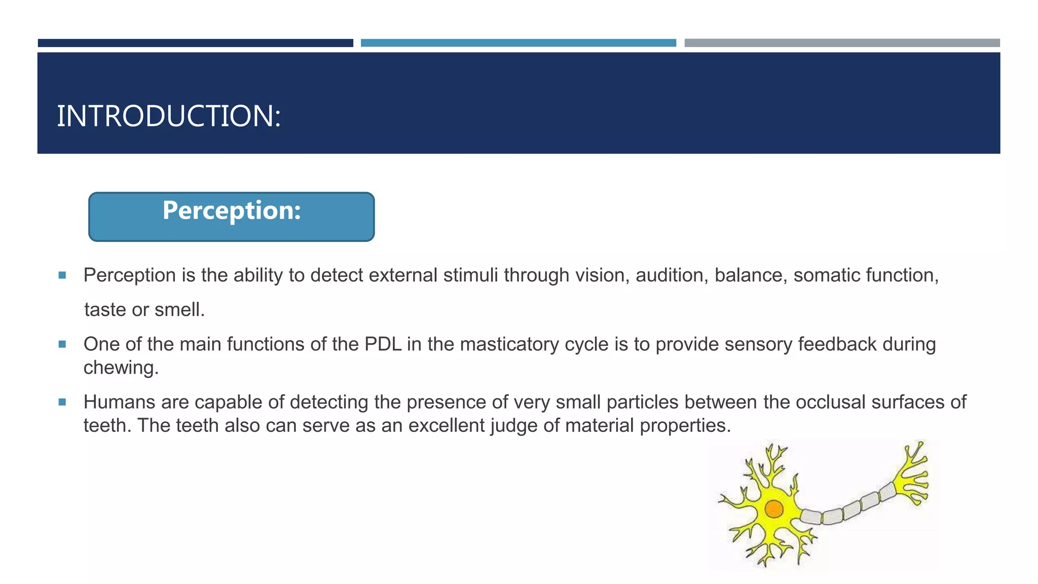 Periodontal, peri implant innervation and propioception | PPTX