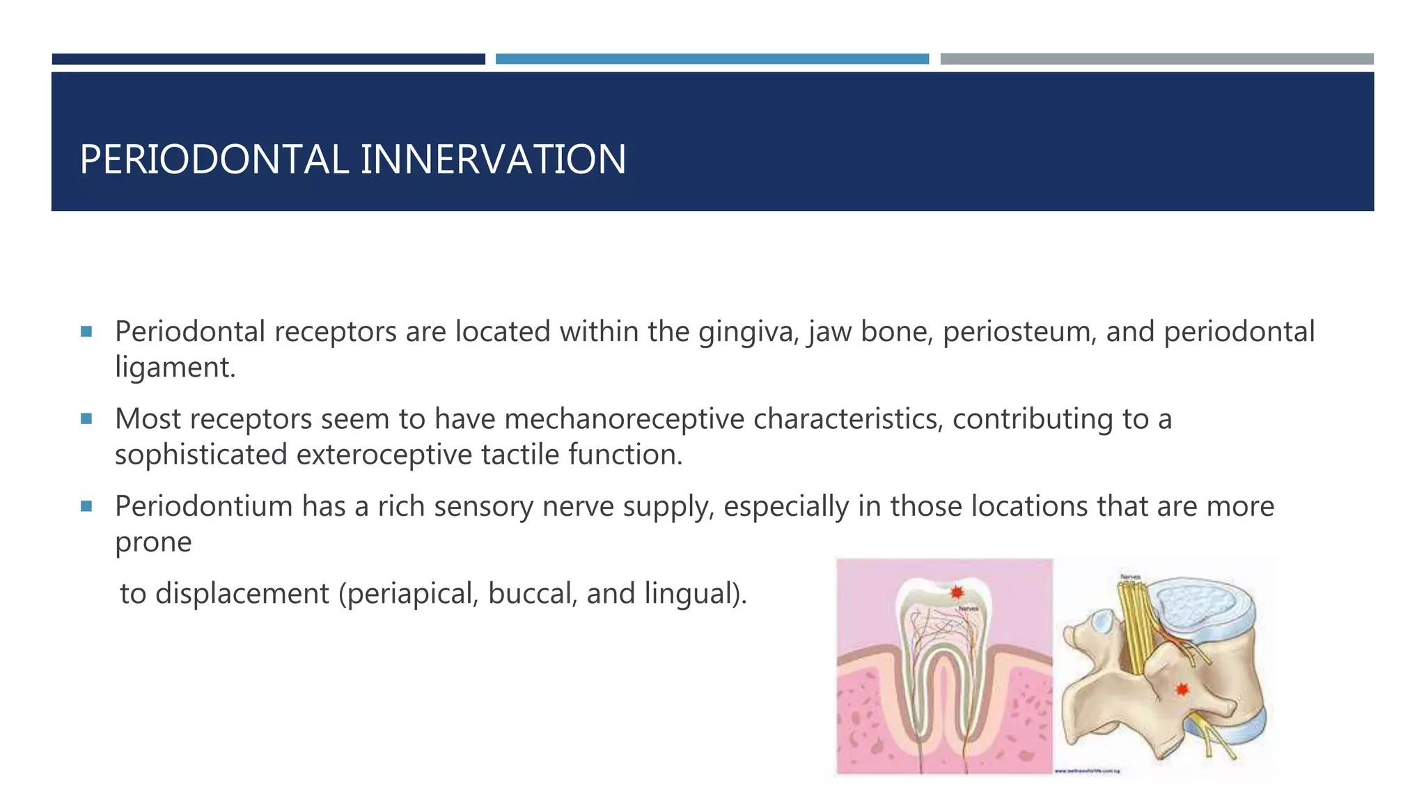 Periodontal, peri implant innervation and propioception | PPTX