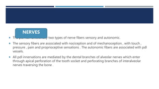 Periodontal, peri implant innervation and propioception | PPTX
