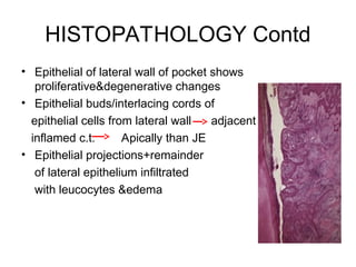 PERIODONTAL_POCKET- Pathogenesis and formation.ppt
