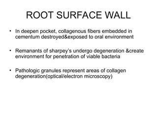 PERIODONTAL_POCKET- Pathogenesis and formation.ppt