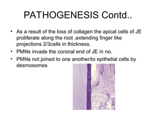 PERIODONTAL_POCKET- Pathogenesis and formation.ppt