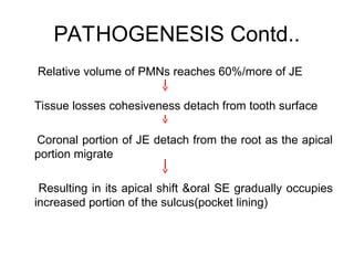 PERIODONTAL_POCKET- Pathogenesis and formation.ppt