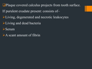 Purulent Exudate Teeth