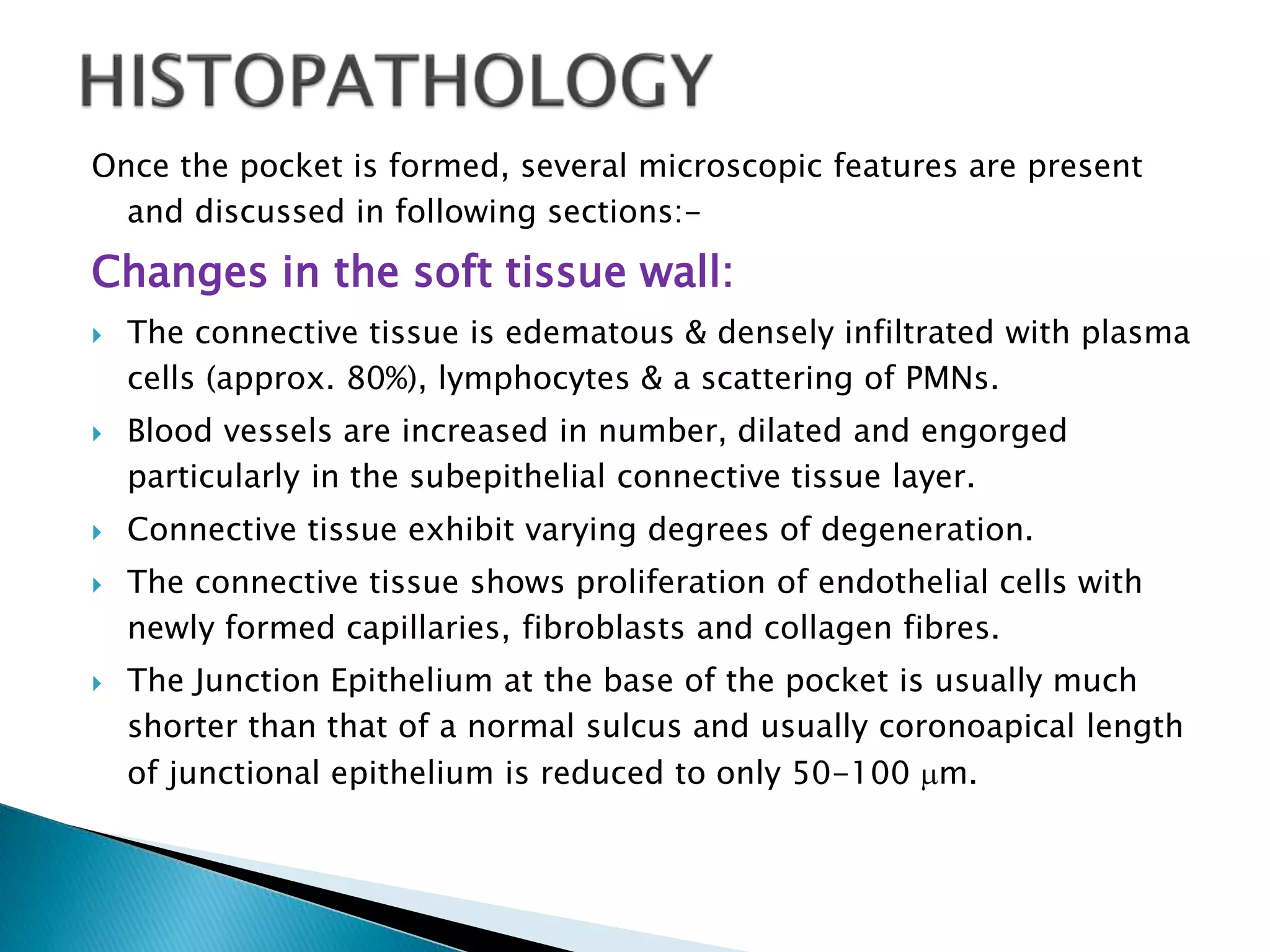 Periodontal Pocket | PPTX