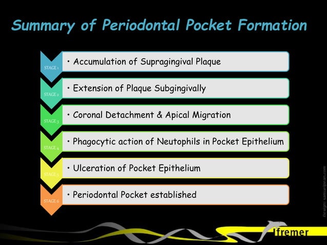 Periodontal pockets & it's pathogenesis | PPTX