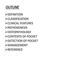 The Periodontal Pocket | PPT