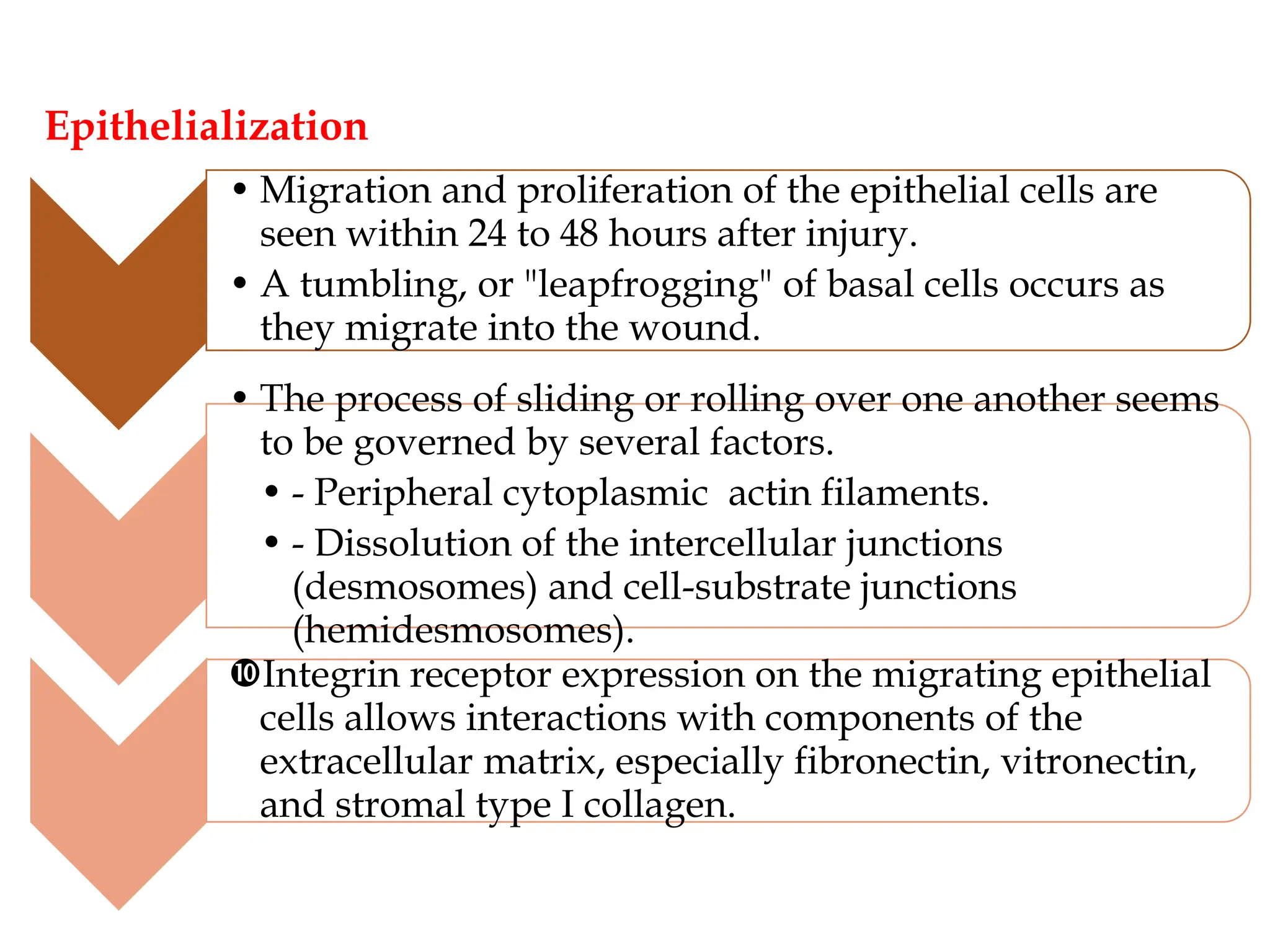 PERIODONTAL WOUND HEALING [Autosaved].pptx