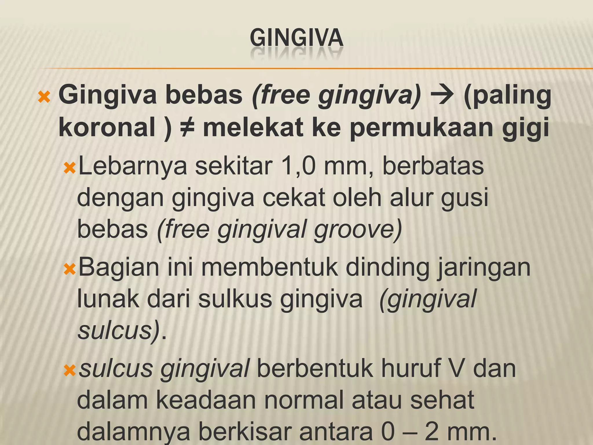 Jaringan Penyangga Gigi | PPTX