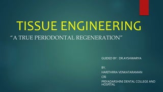 TISSUE ENGINEERING | PPTX