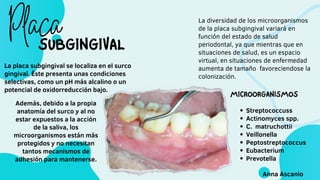 PERIODONTITIS.pdf causas principales y como tratarla | PDF