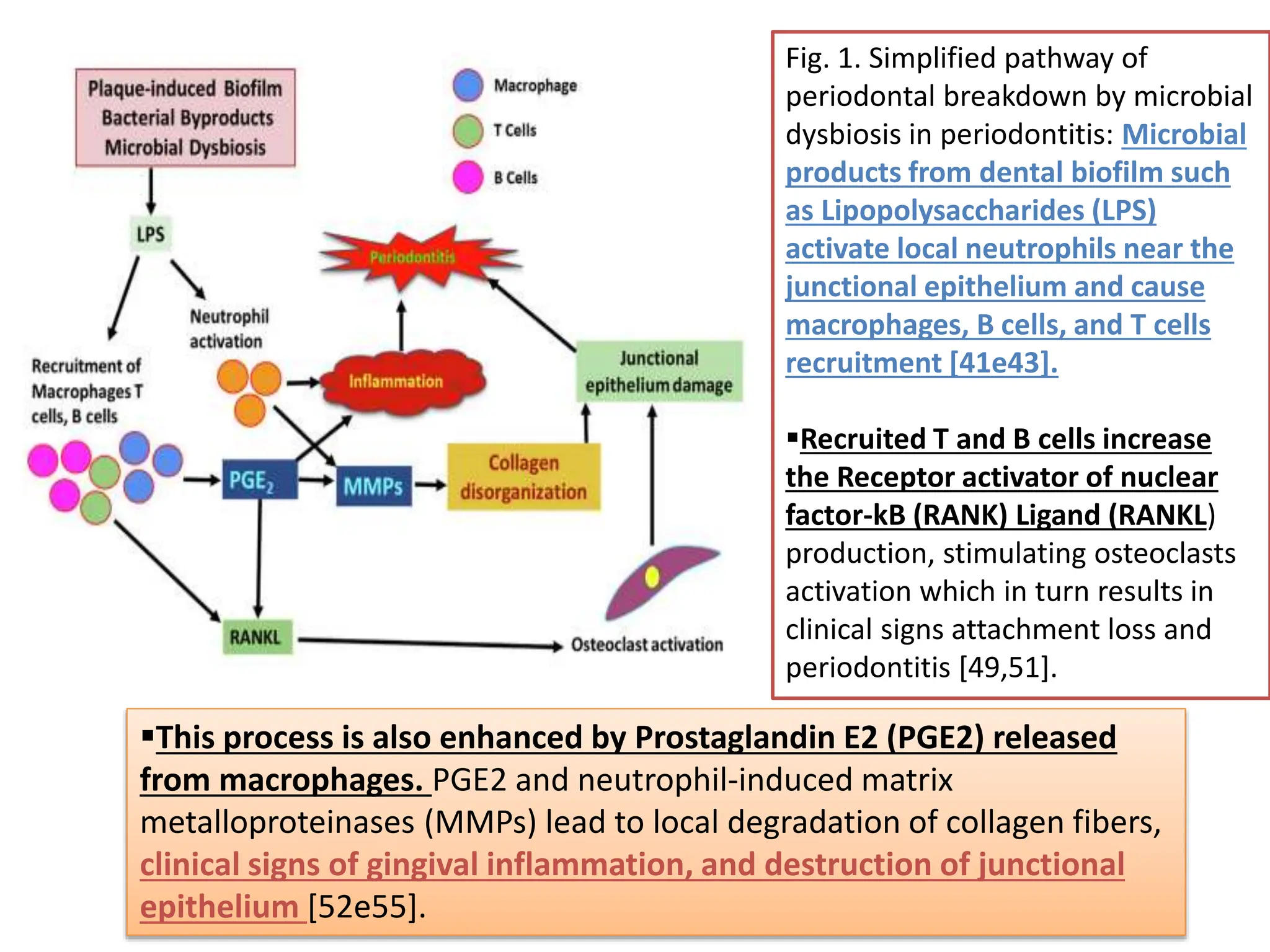 periodontitis and diabetes.pptx