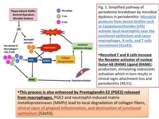 periodontitis and diabetes.pptx