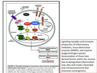 periodontitis and oral cancer.pptx