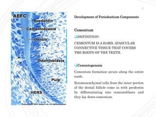 Periodontium | PPTX